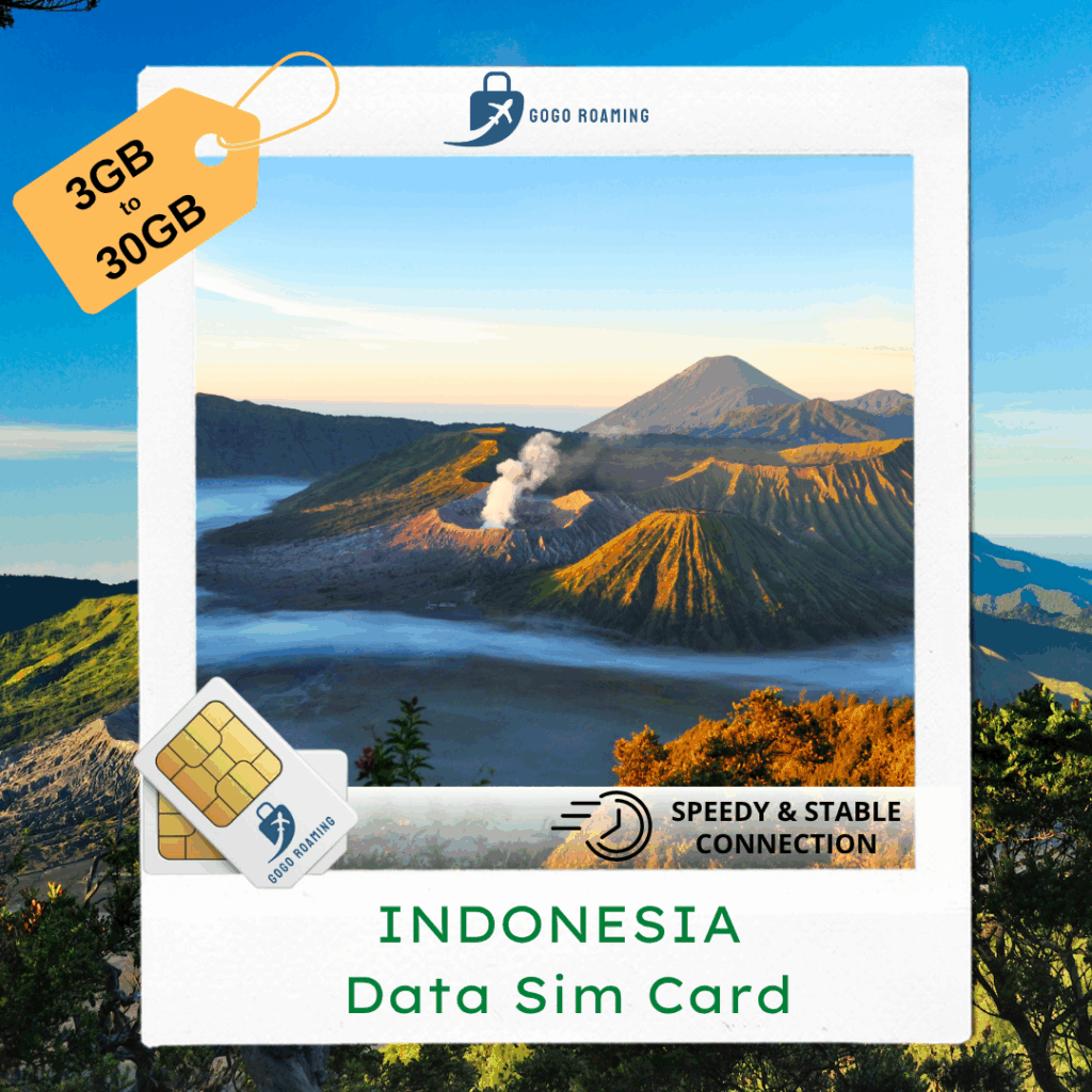 Southeast Asia Sim Card – GoGo Roaming