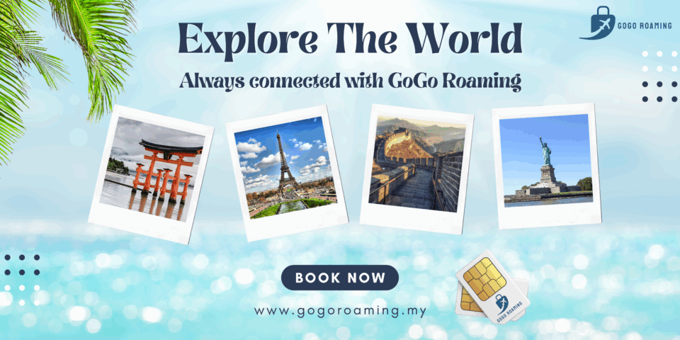 GoGo Roaming International Travel Sim Card - Malaysia